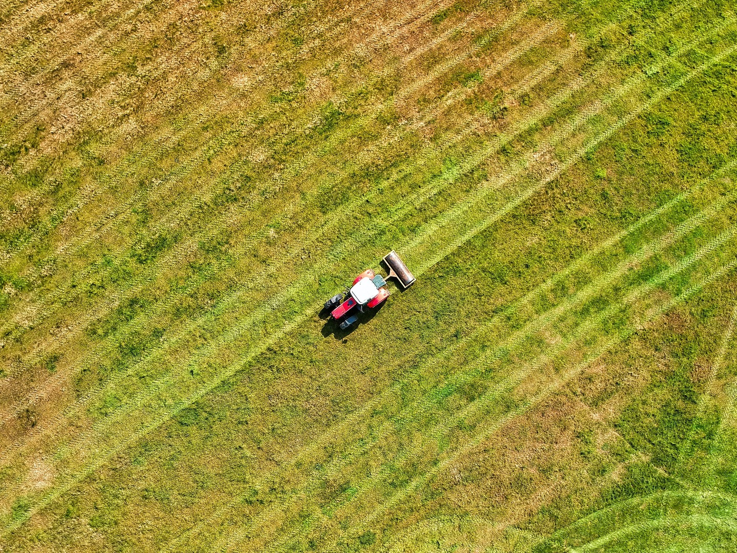 Offset Carbon Emissions Through Regenerative Farming In Morhange offset-carbon-emissions-through-regenerative-farming-in-morhange